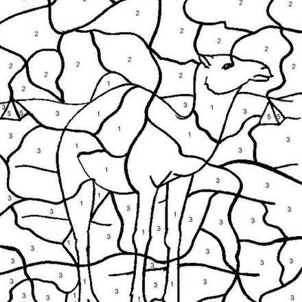 Kamel : Ausmalbilder, Kostenlose Spiele, Bilder für Kinder, Videos für ...