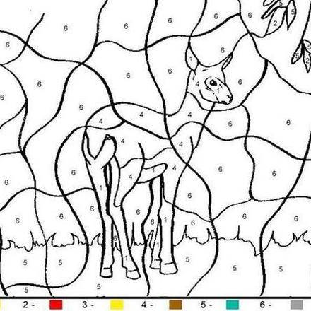 WILDTIERE Malen nach Zahlen - Ausmalbilder - Ausmalbilder ausdrucken ...